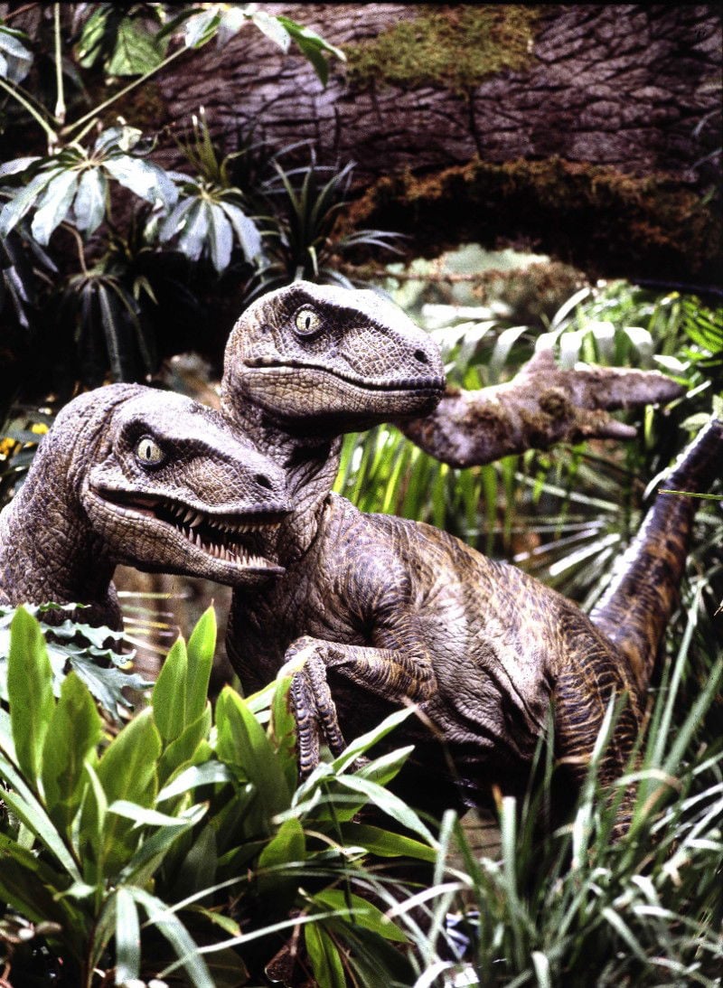 Velociraptor Packs | Personaje de chatbot de IA | BOT3 AI