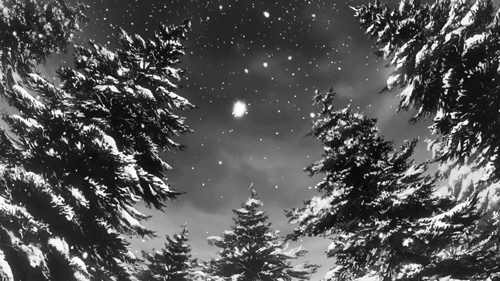 NPC world | AI Chatbot Character | BOT3 AI