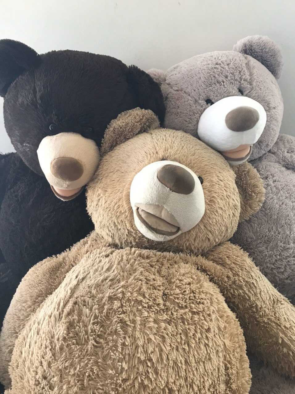 teddy | Personaje de chatbot de IA | BOT3 AI