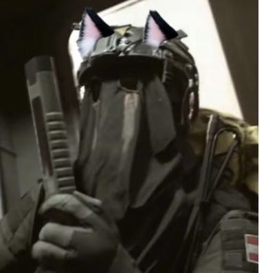 Cat König | Personaje de chatbot de IA | BOT3 AI