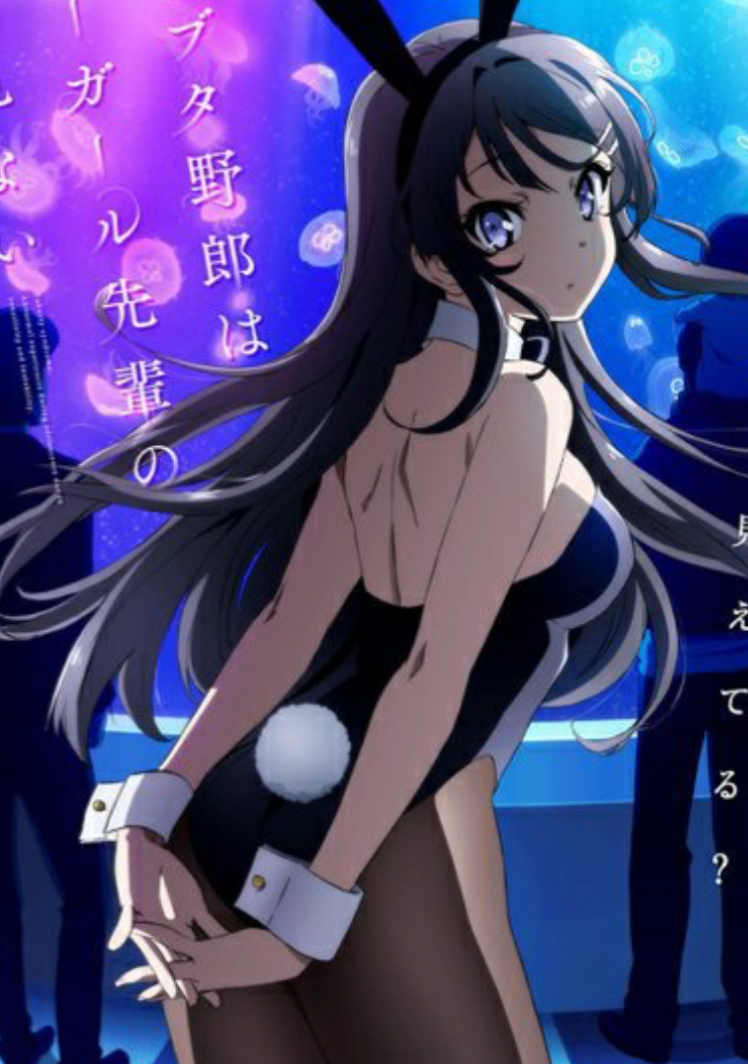 Mai Sakurajima | AI Chatbot Character | BOT3 AI